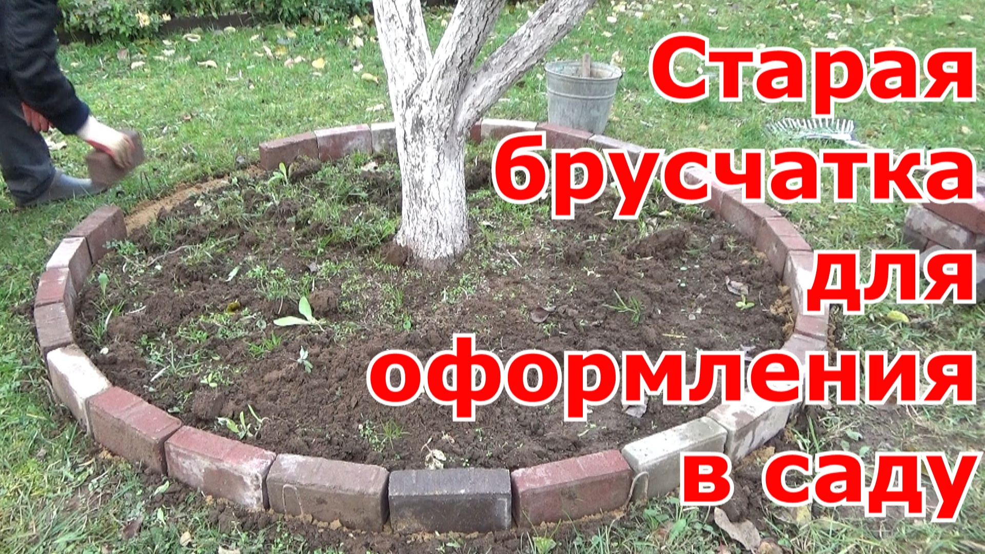 Оформление приствольных кругов из брусчатки. Экономичный, практичный дизайн садового участка.