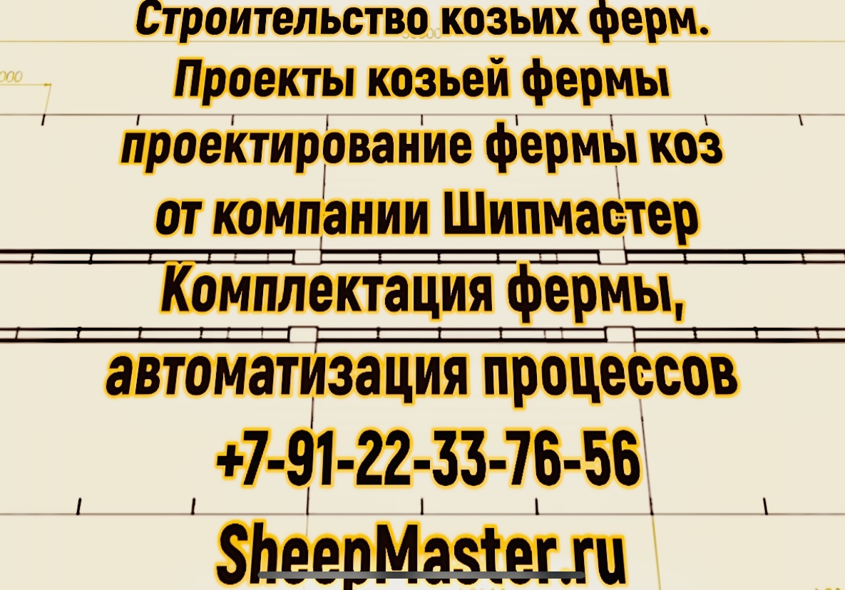 Ферма коз на 10 20 30 40 50 70 80 90 100 120 150 200 250 300 350 400 800 1000 10000 голов под ключ!