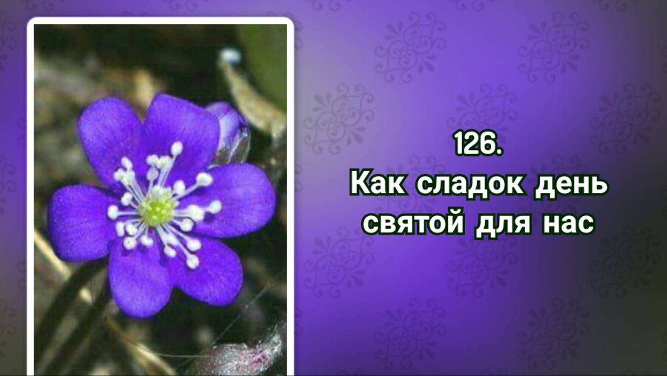 Гимны надежды 126 Как сладок день святой для нас (-)