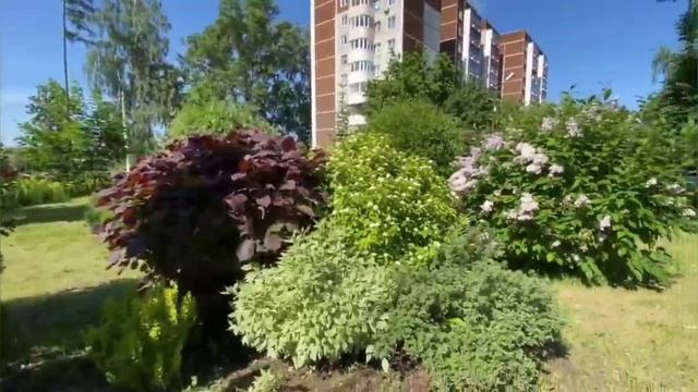 Студенческий городок!