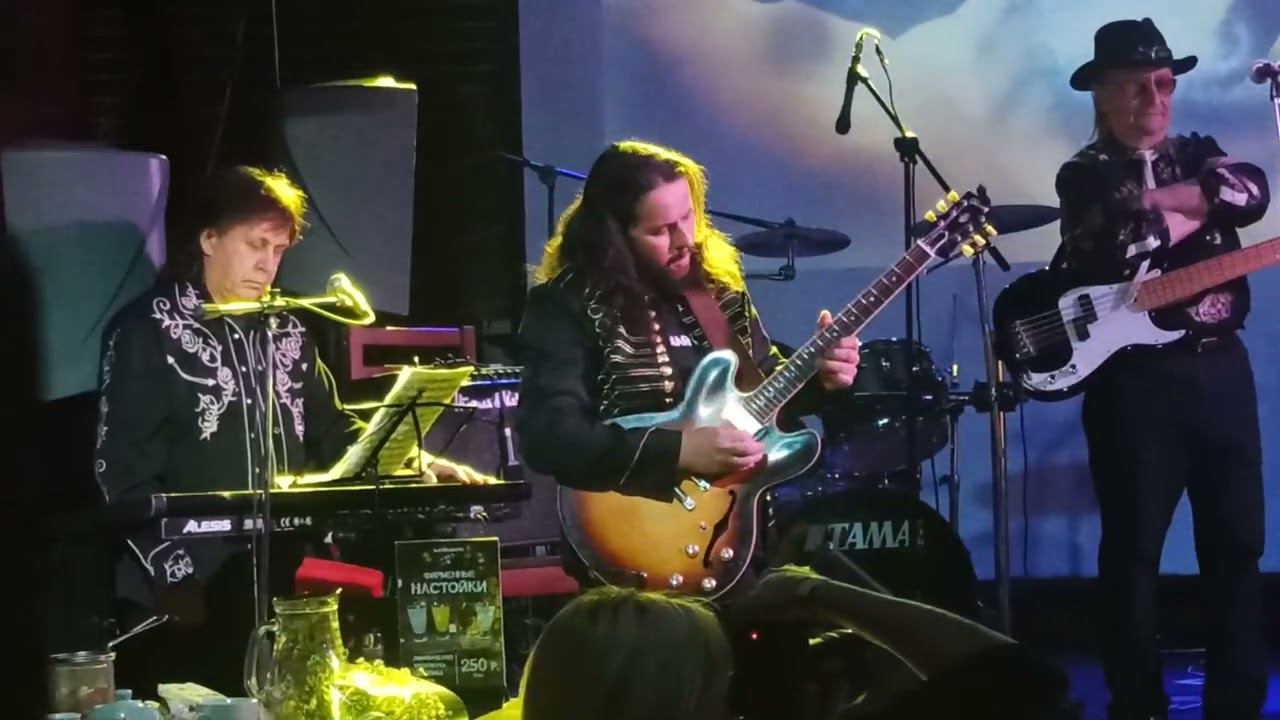 Песочные псы