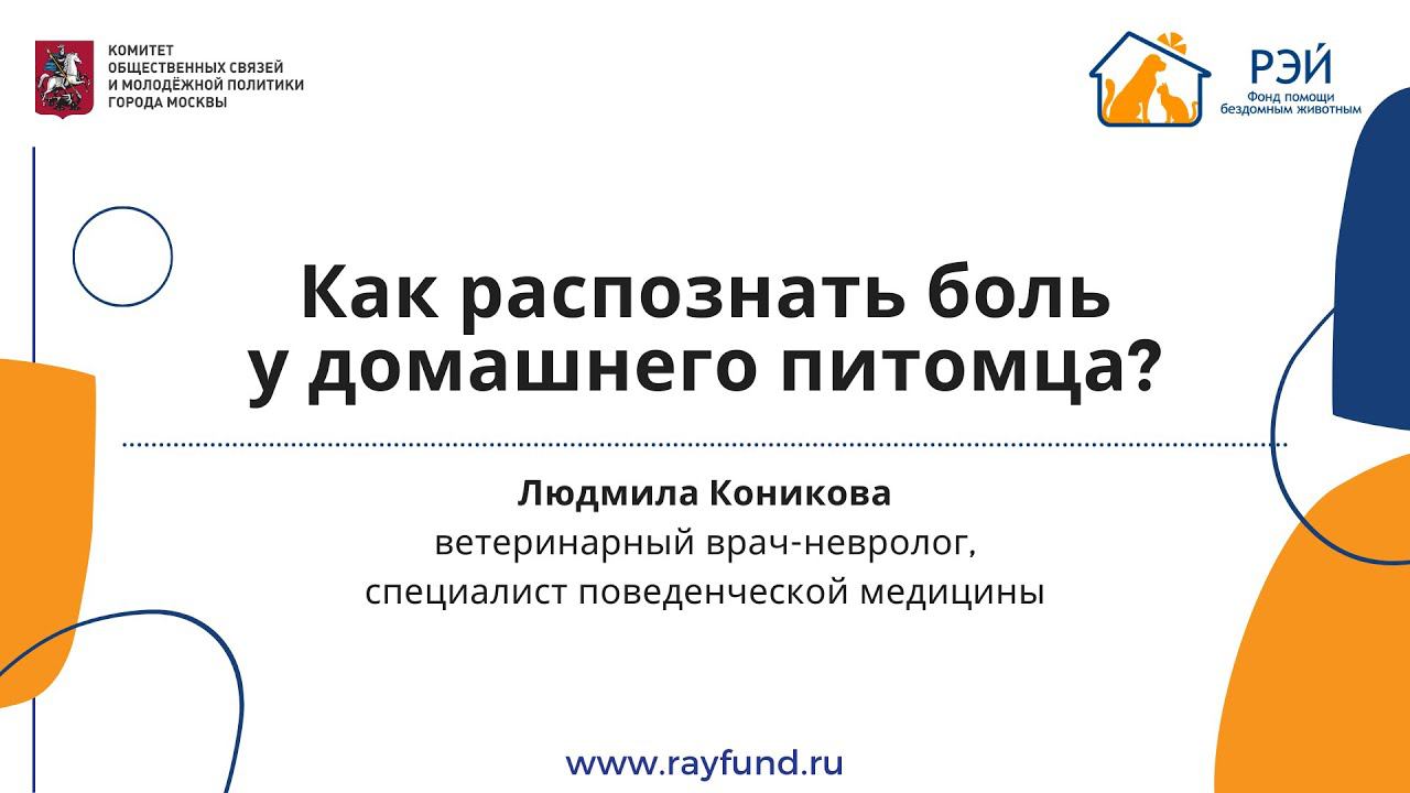 Как распознать боль у домашнего питомца?