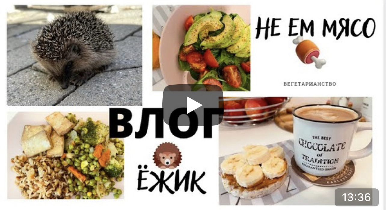 ОСЕННИЙ ВЛОГ: не ем мясо, ёжик потерялся, наша осень, достаю тёплые вещи, в садике инфекция
