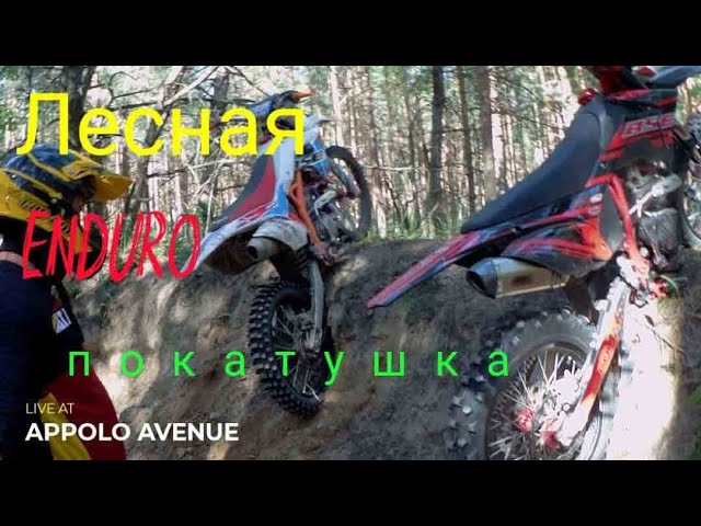 Лесная Enduro покатушка
