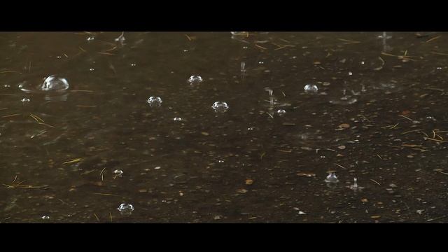 Дождь |Mood Video|