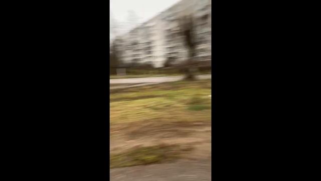 Понедельники взять и отменить _) #342 Орехово_Зуево.mp4