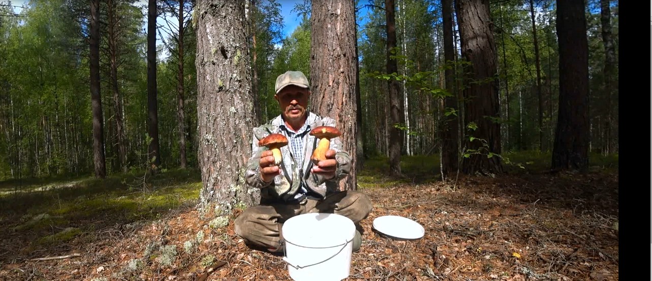 Белые грибы 2021 г. часть 2..mov