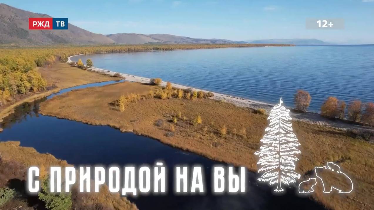 Природа БАМа