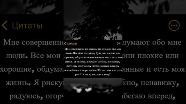 Цитата 14