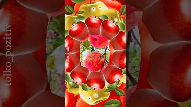 С Яблочным Спасом!