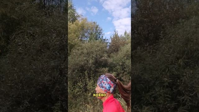 Хорошо быть бегуном ? #юмор #приколы #юморжизни #позитив #бег #люблюбег #беганутые #спортивнаясемья