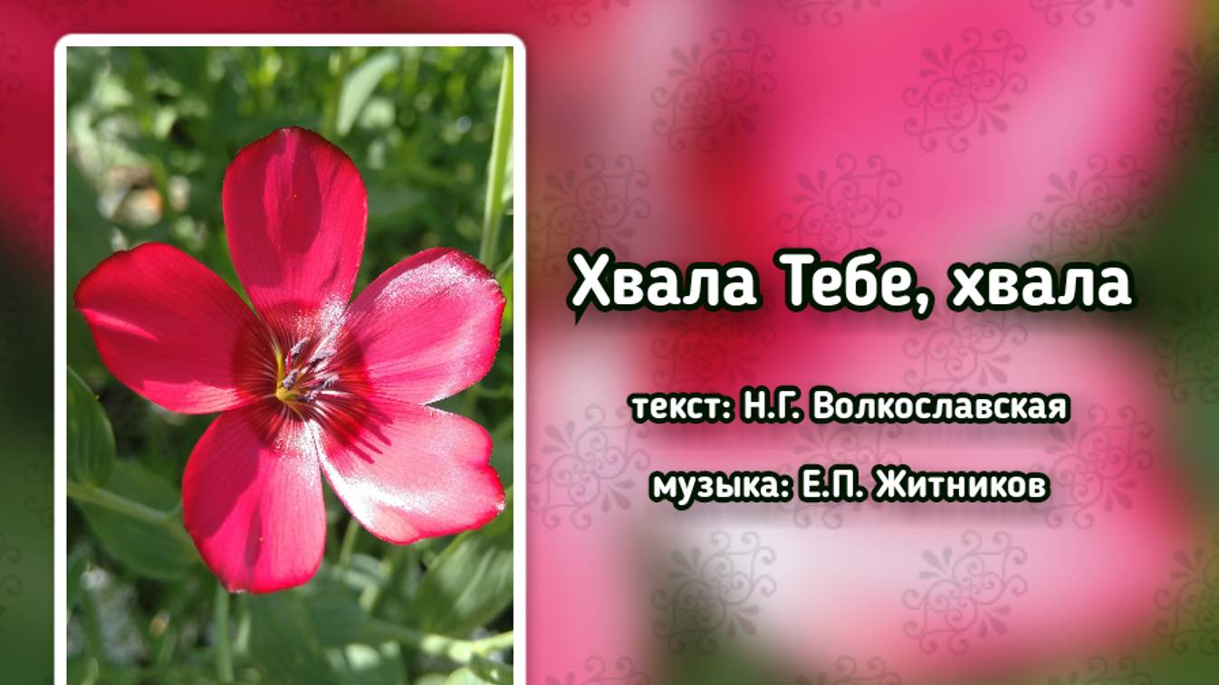 Источник хвалы 242 Хвала Тебе, хвала (-)