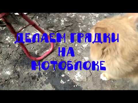 Формирование грядок с помощью мотоблока.