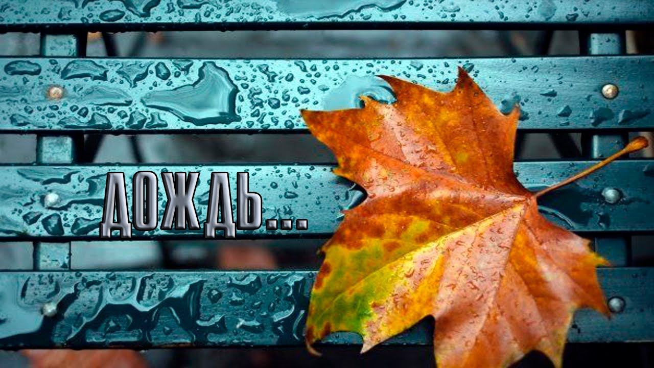 ДОЖДЬ  *  Ирина Белякова