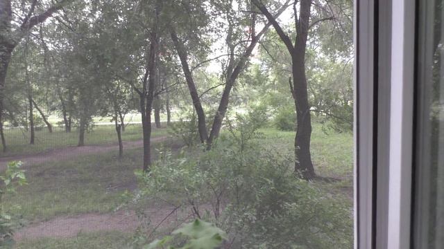 Хроники рыбалки. Лето 2024 ч-14