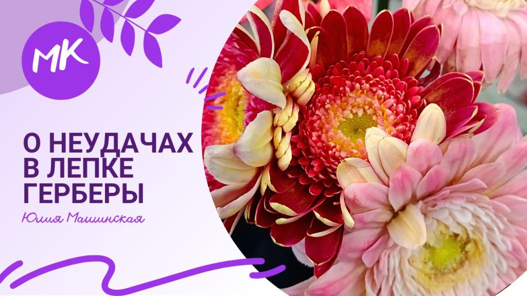 Мк о неудачах в лепке Герберы