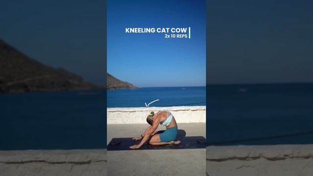 Подвижность бедер, плеч, позвоночника