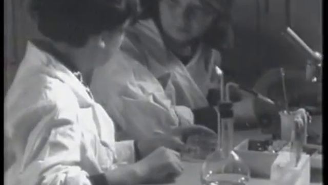 «Воспоминания о 50-летии ИГУ»