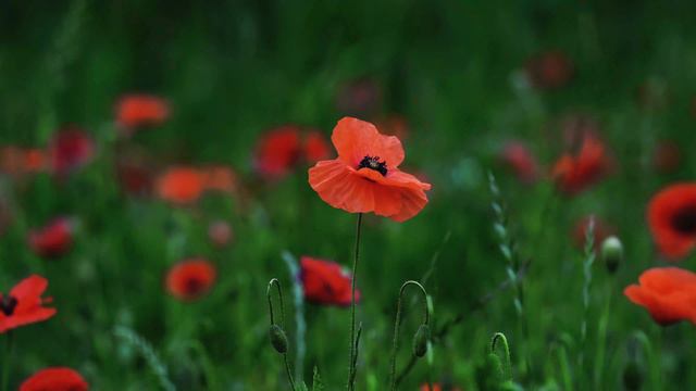 Величие Природы которое обязательно нужно увидеть!