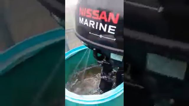 Nissan Marine 4-6 hp.mp4