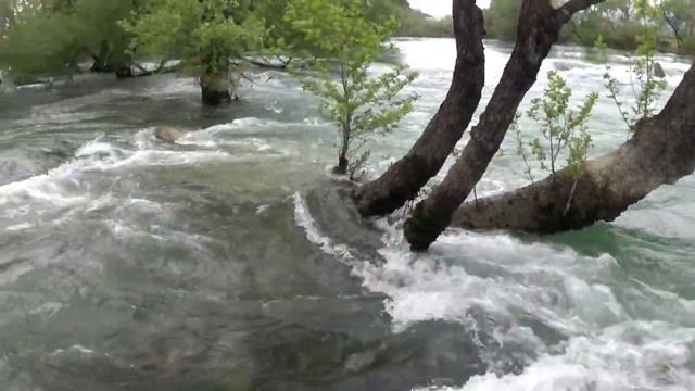 #Турция река Манавгат