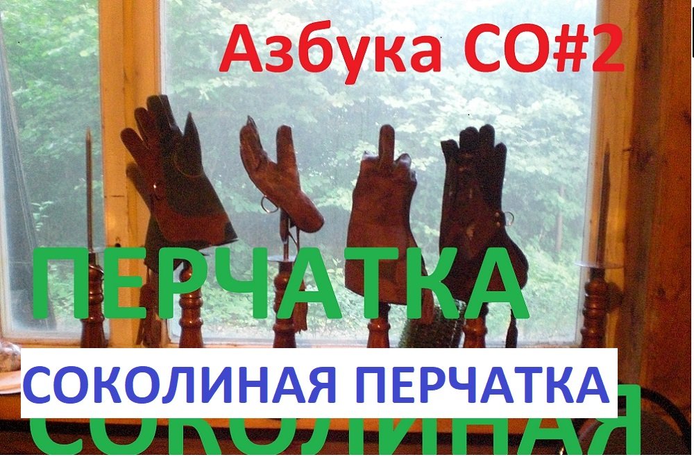 Азбука соколиной охоты #2. Перчатка соколиная. Виды и назначение.