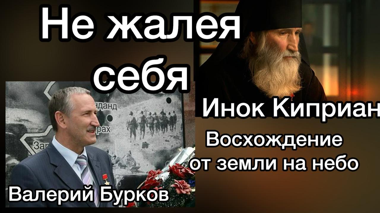 Не жалея себя. Инок Киприан