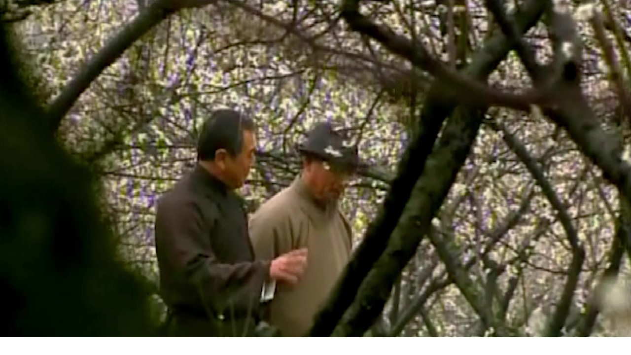 Беседа мастеров о Тайцзи.mp4