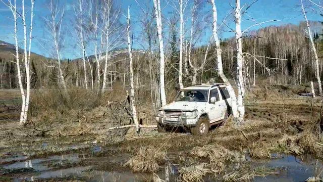 Сезон купаний открыт .