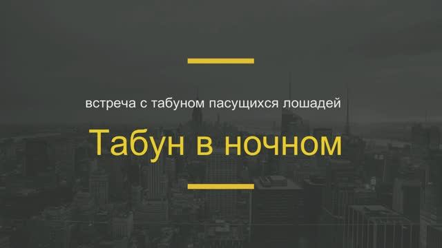 Лошади в ночном