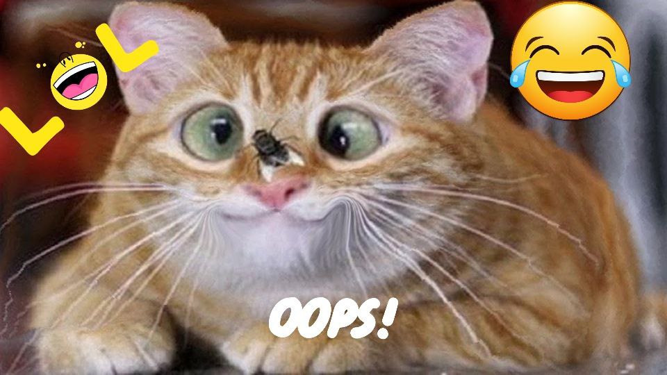 Прикольные  животные. Январь 2024 #2