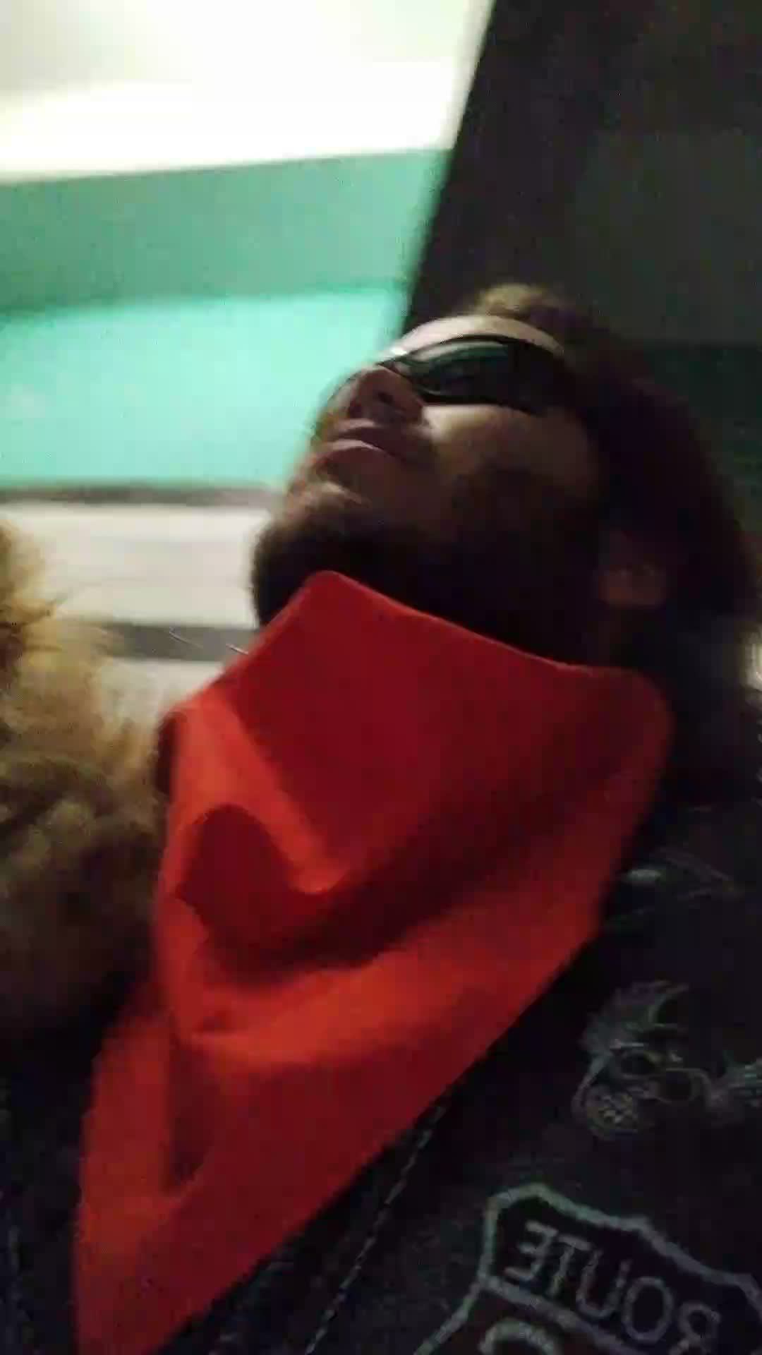 Прогулки с собаками, 4-сен-2024, 2