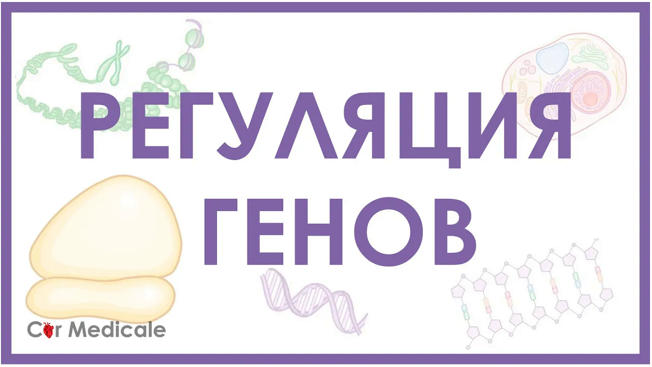 Регуляция экспрессии генов