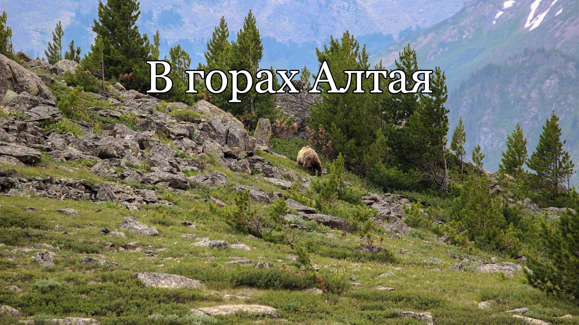 Горный Алтай на Форелевое озеро