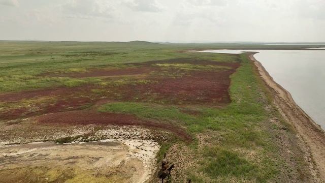 Лошади - оз. Тениз (клип)