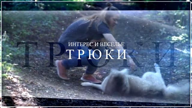 Трюки _2