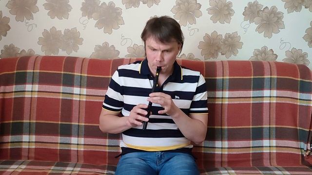 The Wise Maid (ирландский рил) на вистле