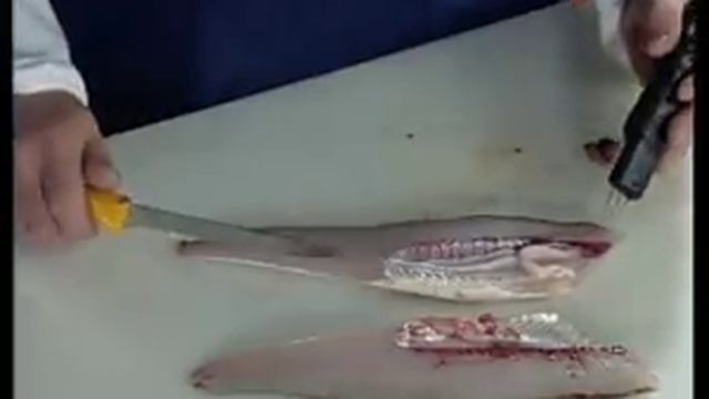 Судак, разделка судака [-J2kE9juUFo].mp4