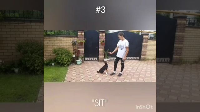 Мастер-класс «Вырази себя на английском» #3.mp4