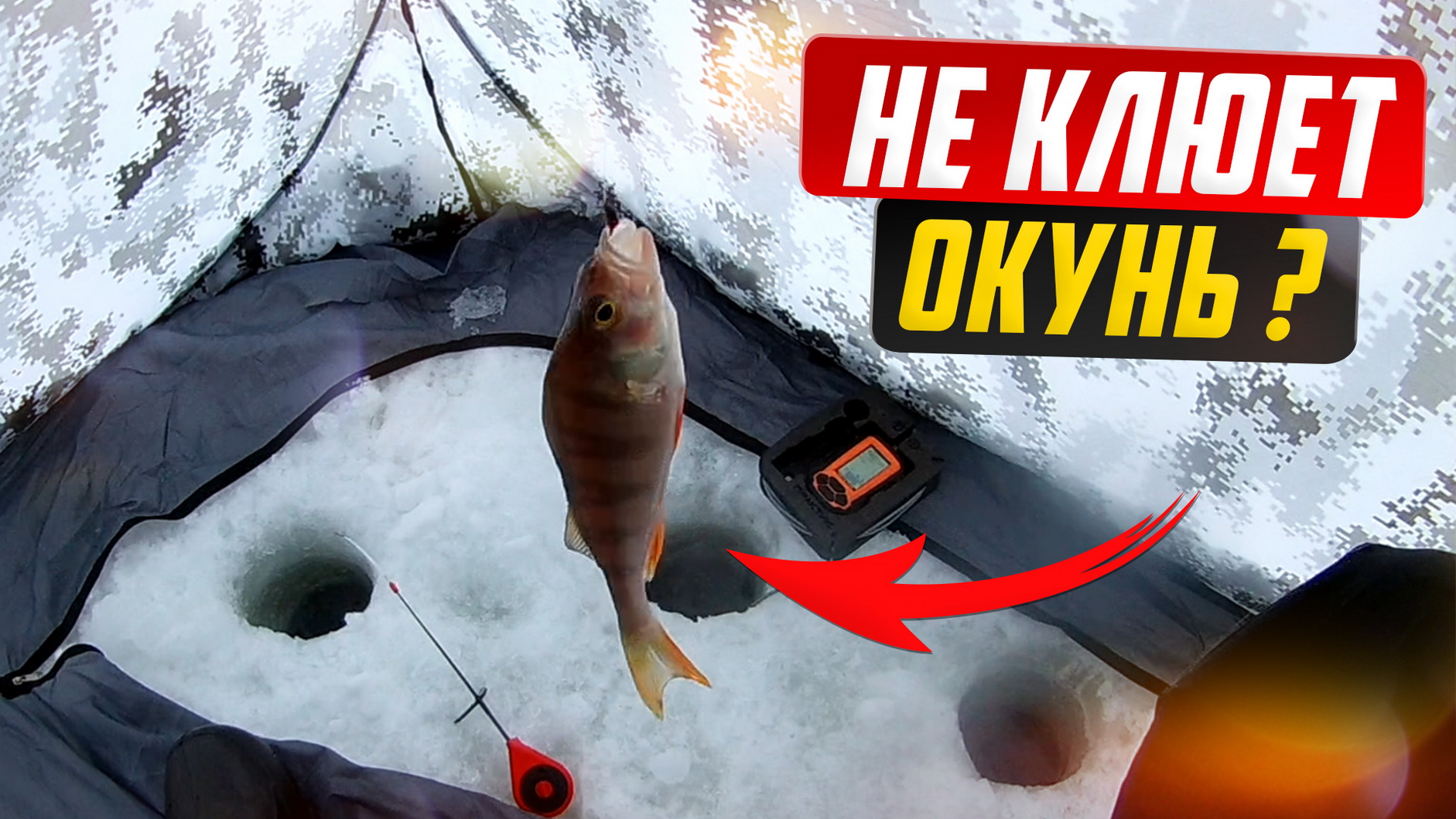 На что ловить окуня зимой. Окунь на мормышку.