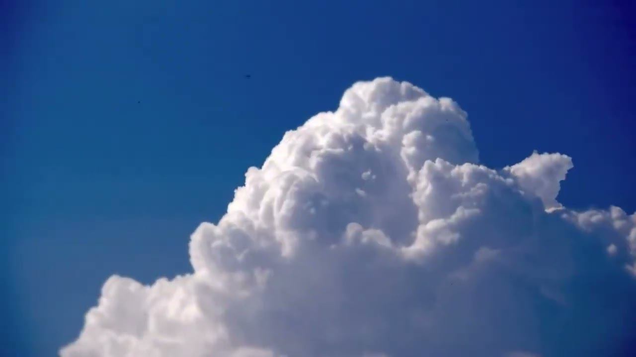 Песня «Навстречу дождю»