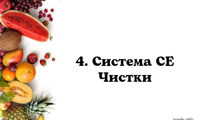 4. Система СЕ. Чистки