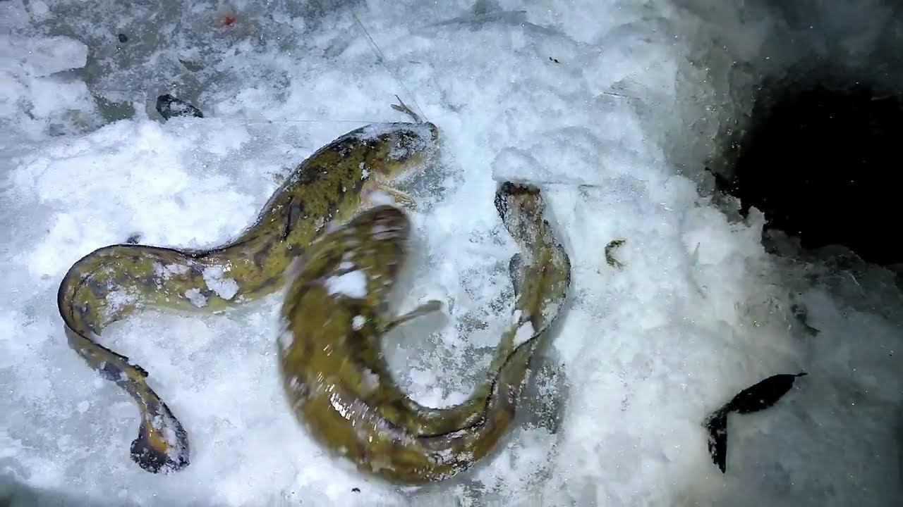 Рыбалка