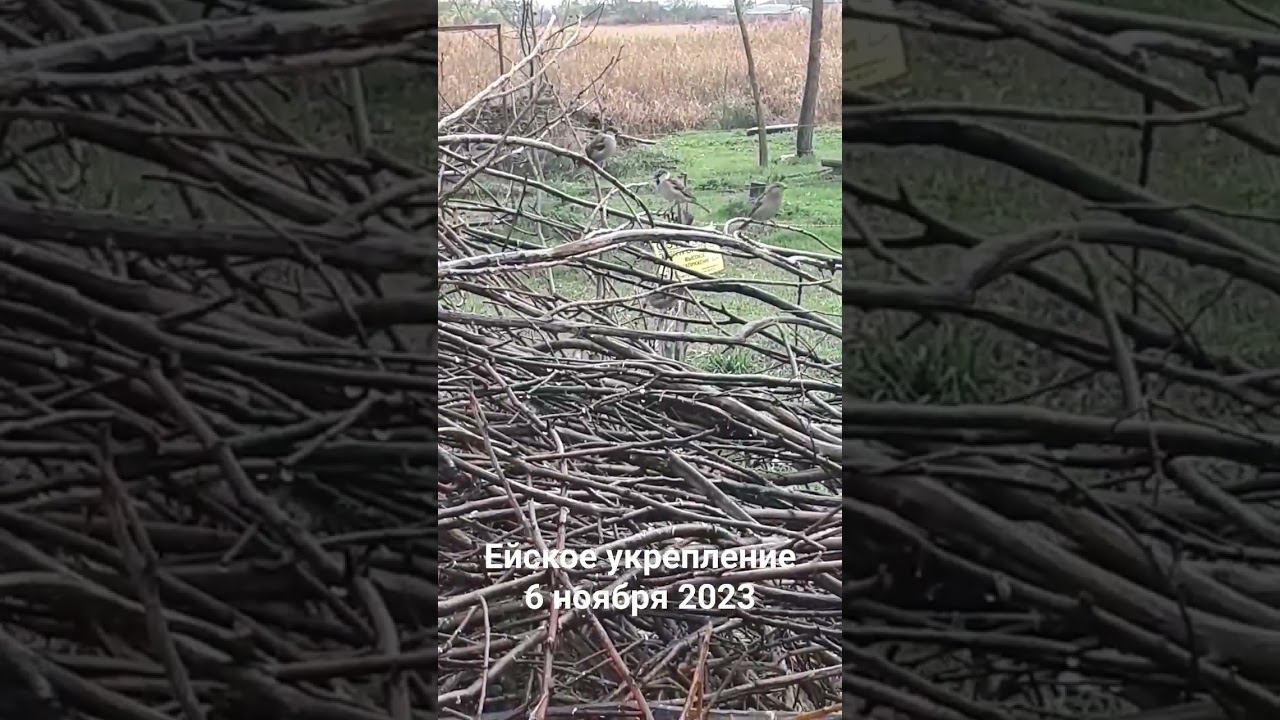 6 ноября 2023 г. самый ненастный день