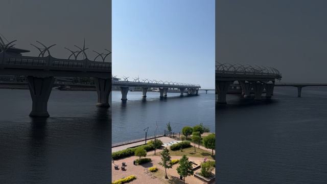 Вид из окна