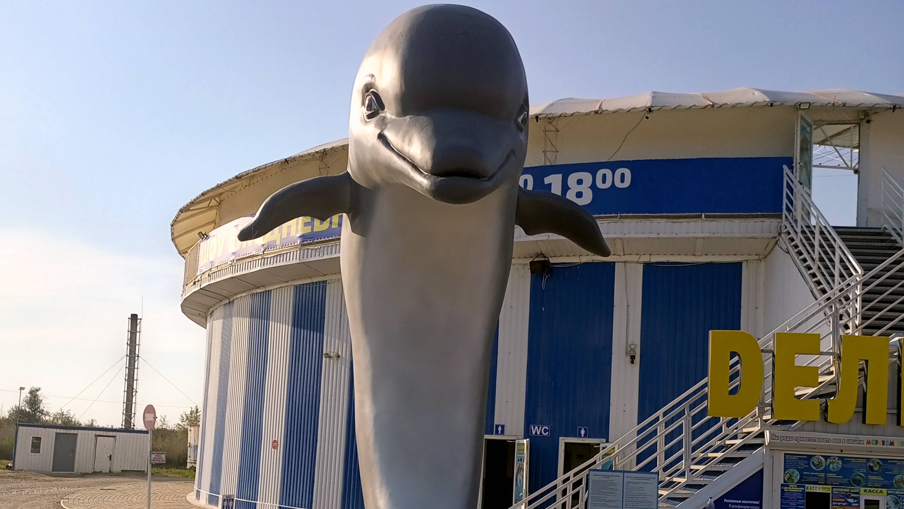 В Феодосийском дельфинарии