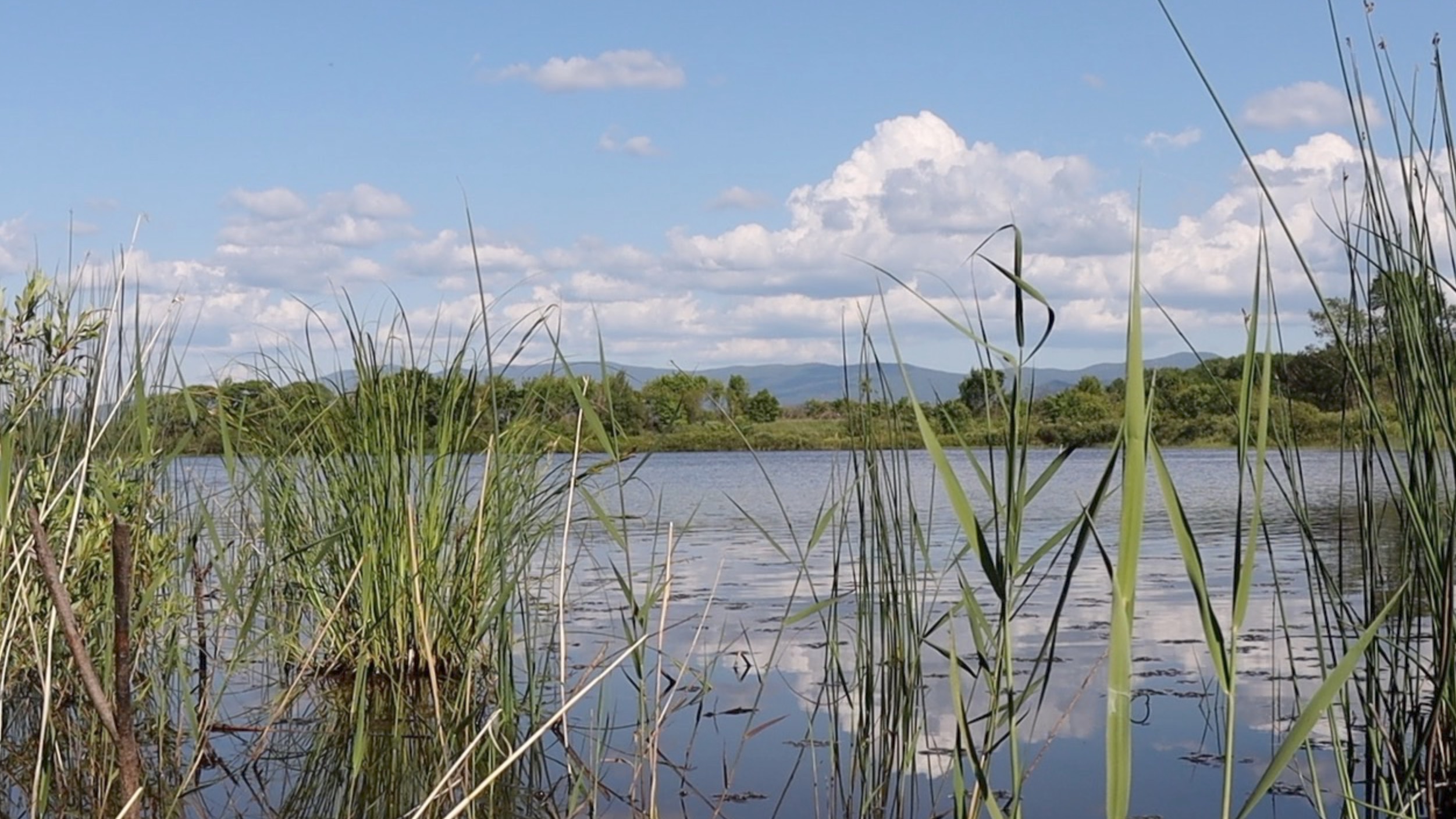 Сало, озеро, костер. Выходной на природе, видео-релакс...
