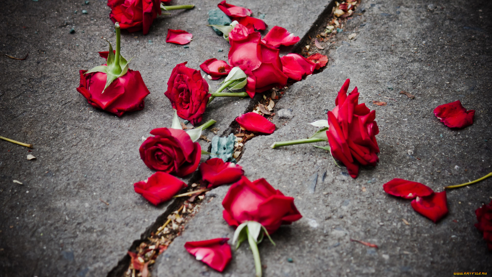 Ты отпусти… расправь свободно плечи Автор текста Алена Терехова. Стихи о жизни.