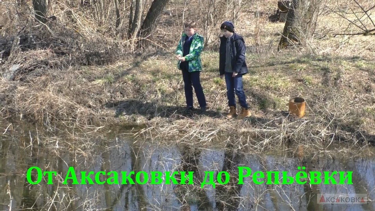 От Аксаковки до Репьёвки. Путешествуем с Аксаковым.