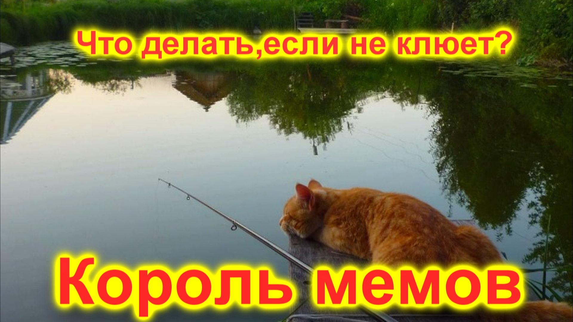 ПРИКОЛЫ НА РЫБАЛКЕ-если не клюет КОРОЛЬ МЕМОВ